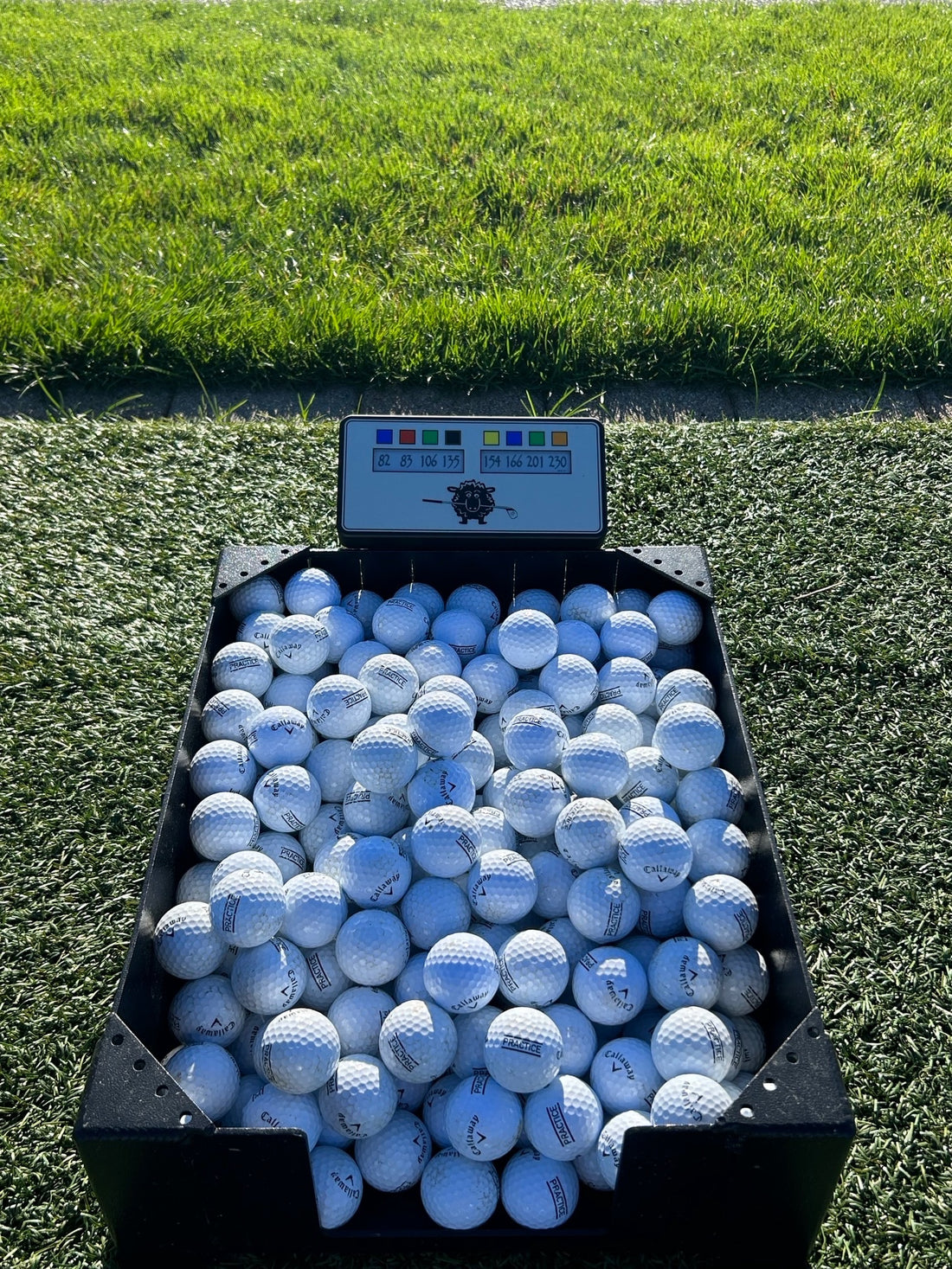Customization Form (Standard) – FLAGD Golf