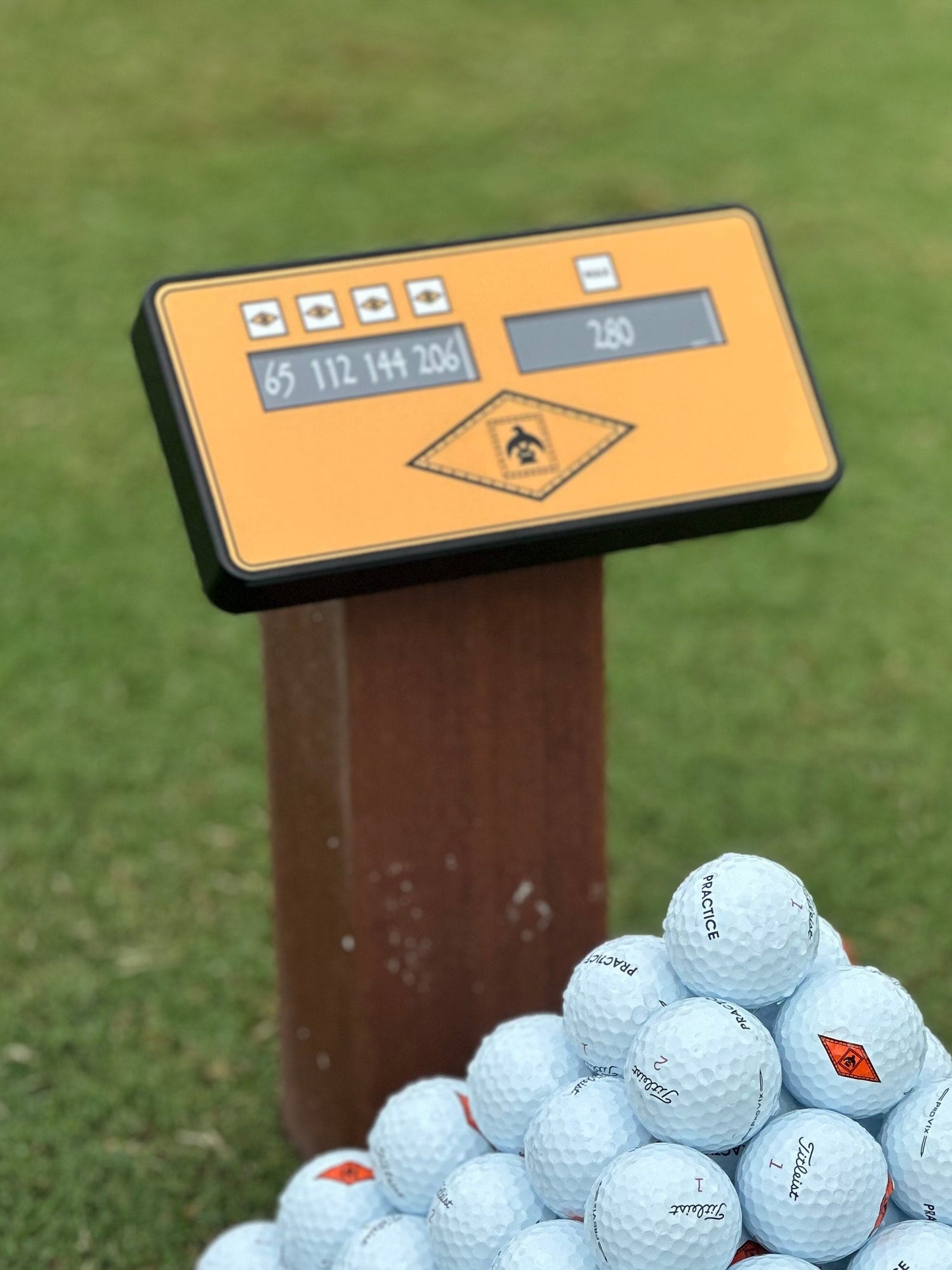 Customization Form (Standard) – FLAGD Golf