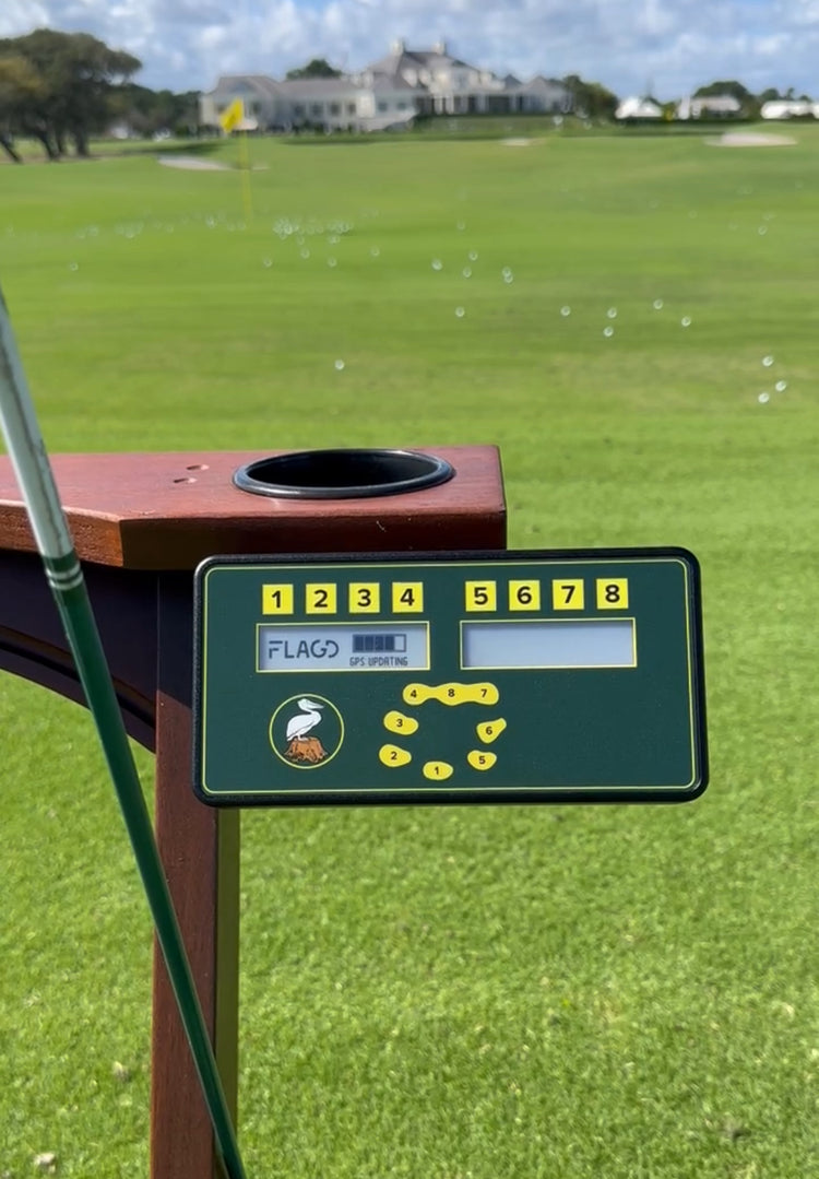 Customization Form (Standard) – FLAGD Golf